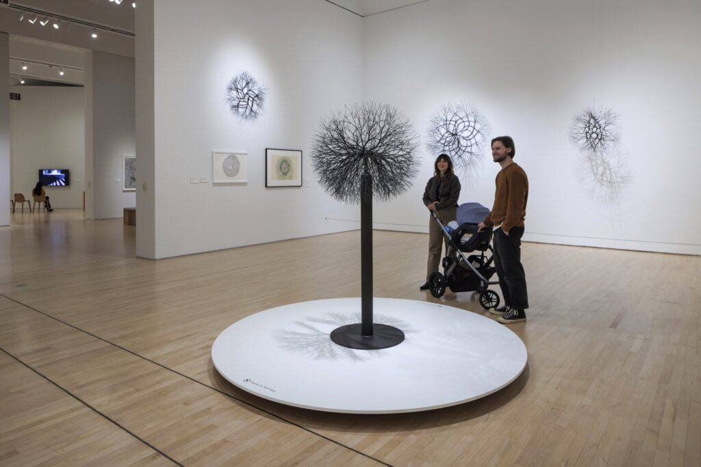 Ruth Asawa: Retrospective · SFMOMA