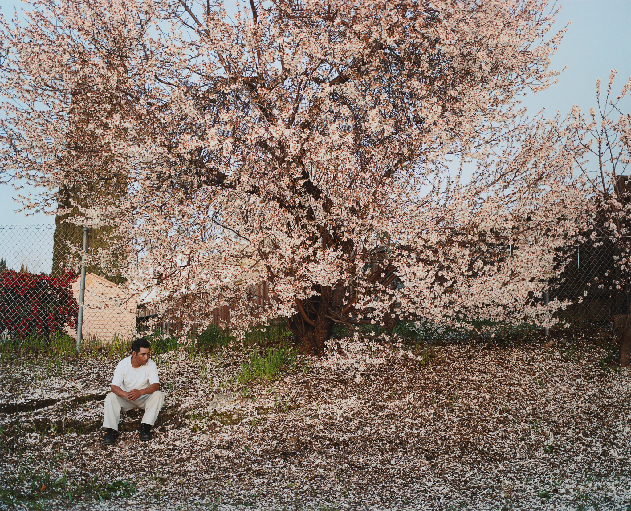 Larry Sultan · SFMOMA