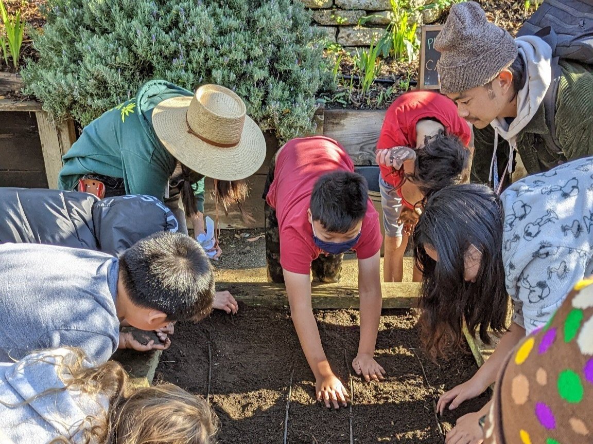 Ruth Asawa: Retrospective · SFMOMA