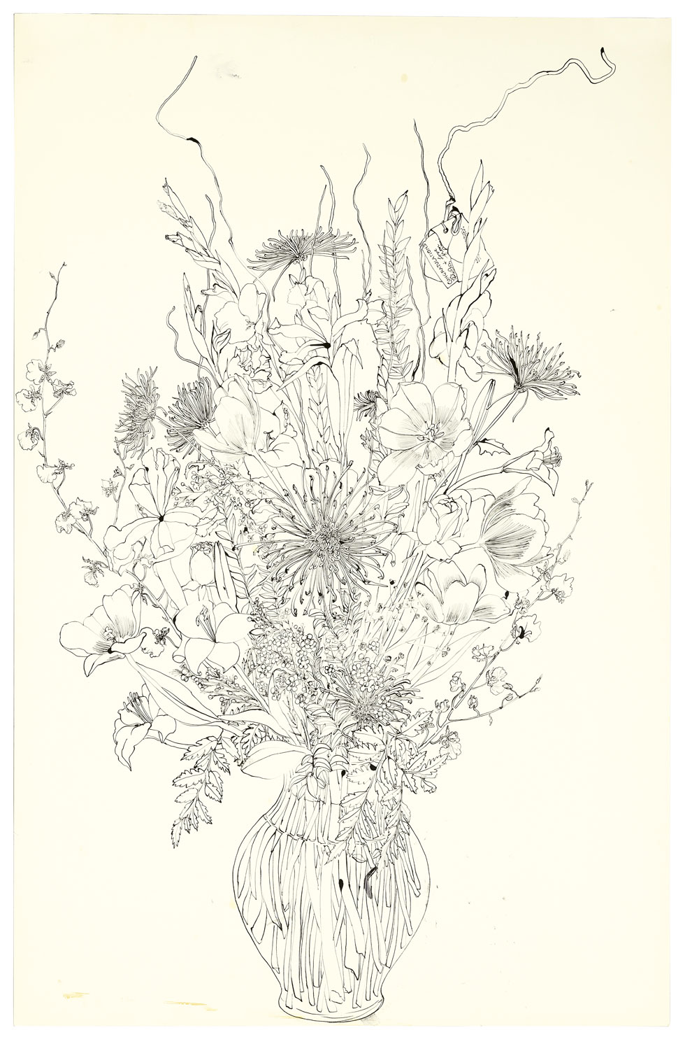 Asawa Flowers --> You Flowers with Wendy MacNaughton · SFMOMA